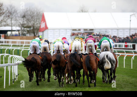 Runners and riders during the Magners Cheltenham Gold Cup Chase during ...