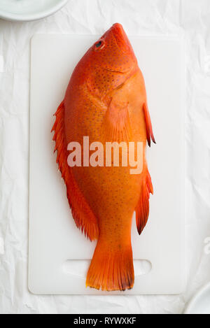 still life with red snapper Stock Photo - Alamy