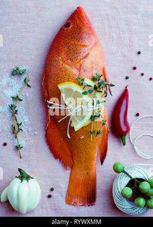still life with red snapper Stock Photo - Alamy
