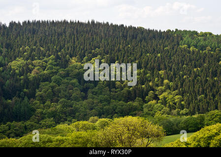 the view from Draydon Rails looking across to Draydon Woods near ...