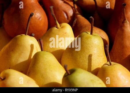 Bucharest, Romania - October 10, 2018: A logo of Huawei, Chinese ...
