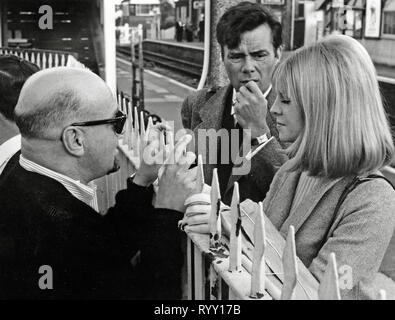 Julie Christie and director John Schlesinger, "Darling"1965 Embassy ...