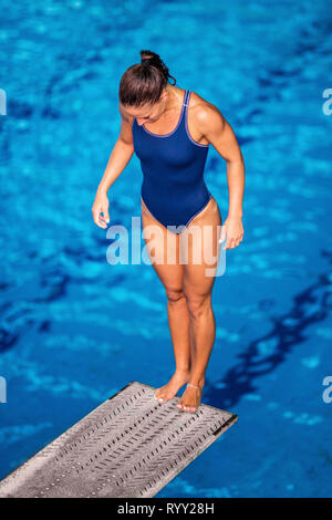 Female springboard diver on the diving board, preparing to jump into ...