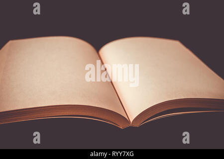 Old open blank book mockup, black background Stock Photo - Alamy