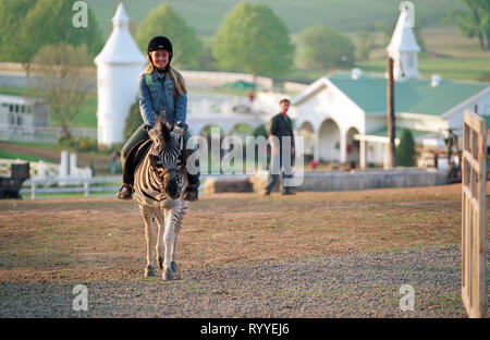 IM RENNSTALL IST DAS ZEBRA LOS! Racing Stripes South Africa/USA 2005 ...