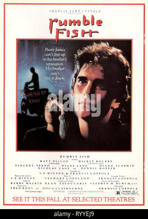 Matt Dillon / Rumble Fish 1983 directed by Francis Ford Coppola Stock ...