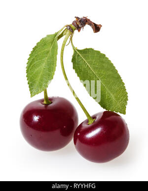 Isolated cherries. One whole cherry fruit and one cut in half with ...