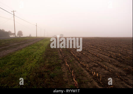 Harvested corn field sunrise, landscape of cultivated field Stock Photo ...