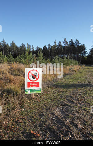 Warning sign for tree felling Frame Heath Inclosure New Forest National ...