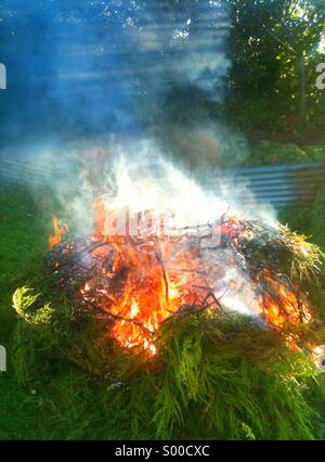 Garden bonfire smoke burning weeds Stock Photo - Alamy