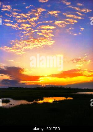 salt marsh at sunset Stock Photo - Alamy