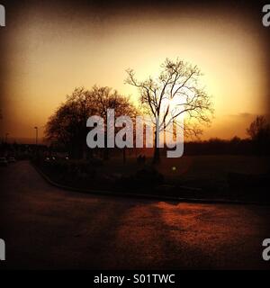 Streatham common at sunset Stock Photo - Alamy