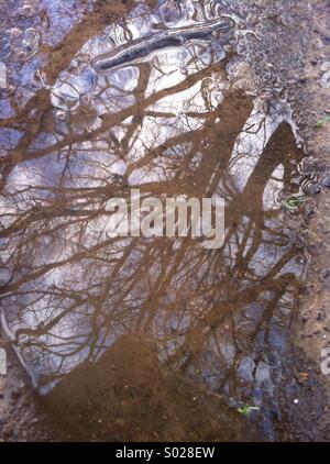 Water puddle Reflection Stock Photo - Alamy