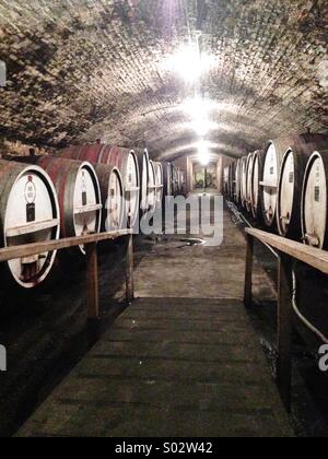 A long corridor with wooden wine barrels in a vineyard cellar Stock ...