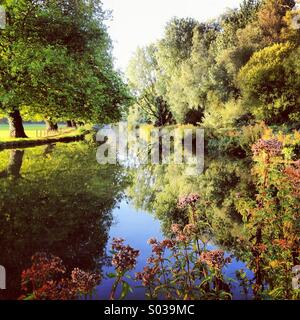 THE RIVER ITCHEN WINCHESTER, NAVIGATION WALK Stock Photo: 115552289 - Alamy