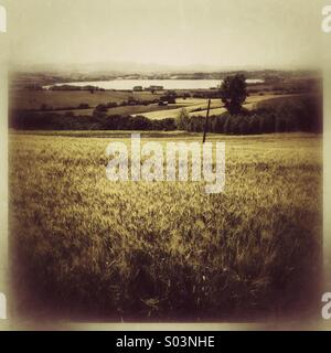 Lake of Chiusi, Tuscany, Italy Stock Photo - Alamy