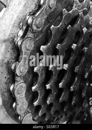 Cycle wheel and gears Stock Photo - Alamy