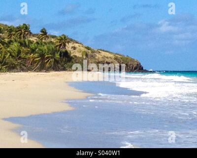 PUERTO RICO Culebra Playa Zoni Zoni beach on east side of island long ...