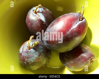 French prune or sugar plum Stock Photo - Alamy