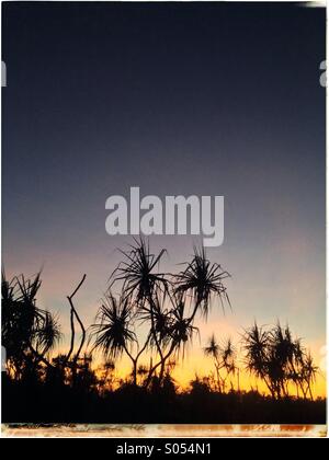 Australian Bush Sunrise Stock Photo - Alamy