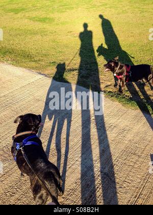 Long shadows of two people with a dog standing in the centre on a long ...