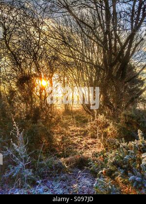 Sunset on a winters day when the sun shined all day Stock Photo - Alamy