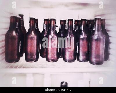 Fridge full of beer bottles Stock Photo - Alamy