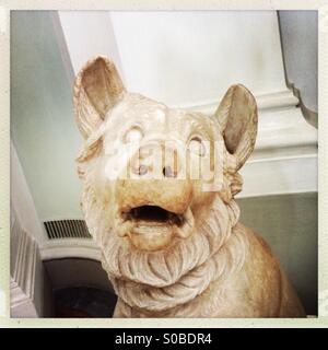 Roman dog statue at the Uffizi gallery in Florence Stock Photo - Alamy