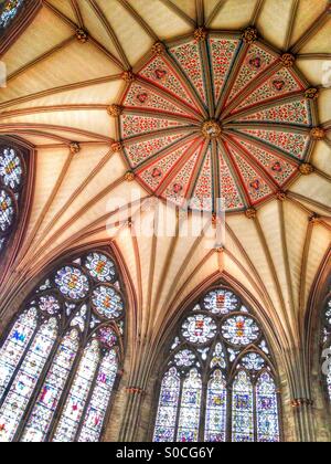 York Minster, Chapter House roof interior Stock Photo - Alamy