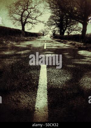 A Shady Lane Stock Photo - Alamy