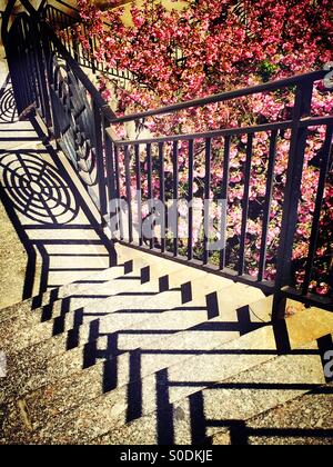 Sharansky Steps, Ralph Bunche Park From Tudor City, NYC Stock Photo - Alamy