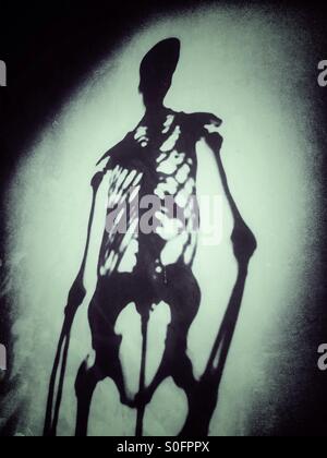 Shadow of a human skeleton Stock Photo - Alamy