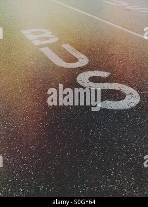 Road marking bus Stock Photo - Alamy