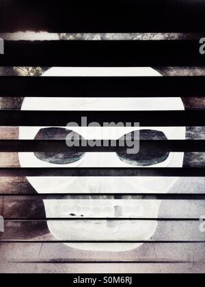 plastic skeleton skull for Halloween decorations and horror party fun ...