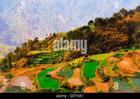 Rice terraces in Sagada, Philippines Stock Photo - Alamy