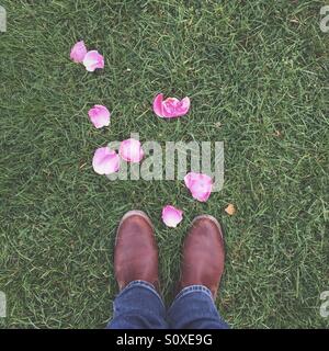 Fallen pink petals Stock Photo - Alamy