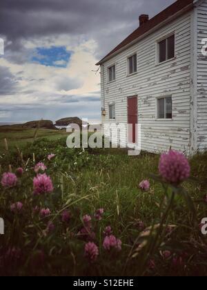 Abandoned house by the Atlantic ocean, Newfoundland, Canada Stock Photo ...