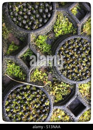 Close up of green doormat texture surface Stock Photo - Alamy
