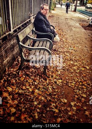 lonely bench on fallen leaves Stock Photo - Alamy