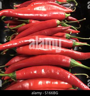 Red hot chillis Stock Photo - Alamy