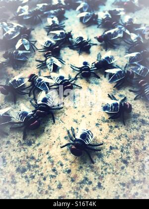 A swarm of house flies on the kitchen counter Stock Photo - Alamy