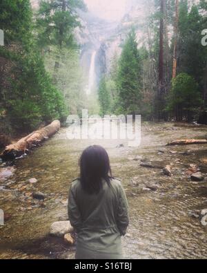 Waterfalls immersed in nature Stock Photo - Alamy