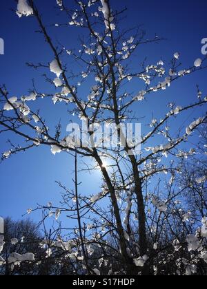 Clumps of blue ice on the snow Stock Photo - Alamy