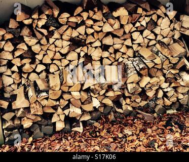 A pile of Silver birch logs stacked up in Sevenoaks country park Stock ...