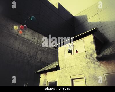 Edith Macefield House, Seattle Stock Photo - Alamy