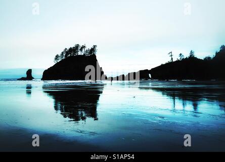 The largest of the Quillayute Needles, a seastack called Crying Lady ...