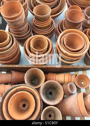 Market for sale plant in pots, stock photo Stock Photo - Alamy