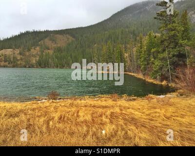 Roadside lake in Jasper National Park, Canada Stock Photo - Alamy
