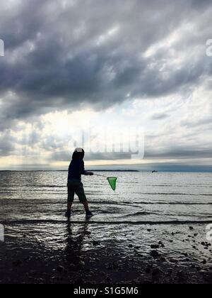 young boy with a fishing crabbing net looking over the dock Stock Photo ...