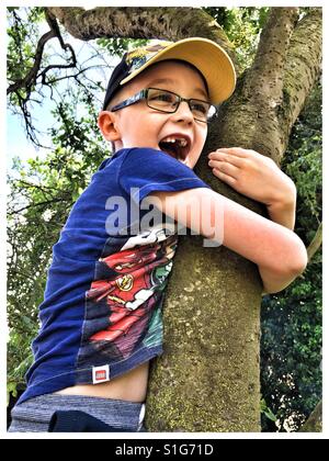 Boy stuck up a tree Stock Photo - Alamy